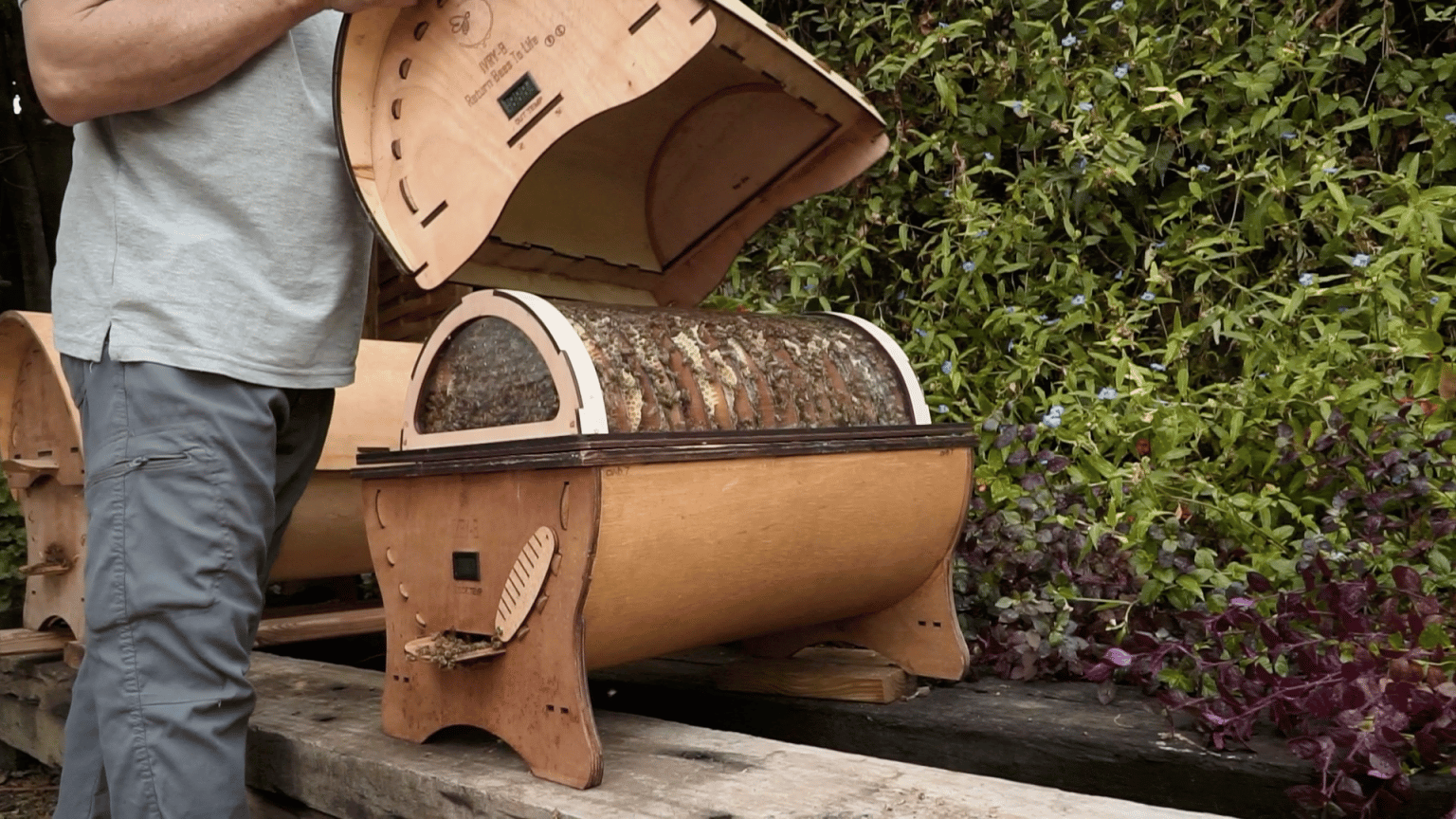 Ivry-B - The World's First Transparent and Round Beehive