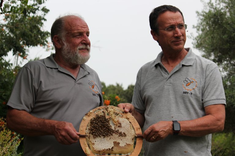 Bee hive for a community garden - Ivry-B